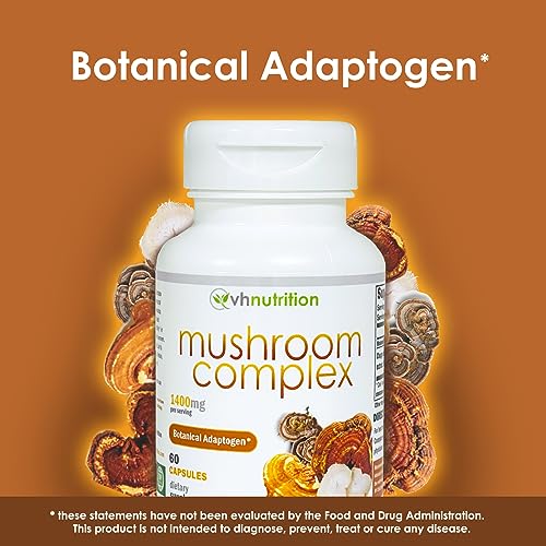 Reishi mushrooms for stress relief