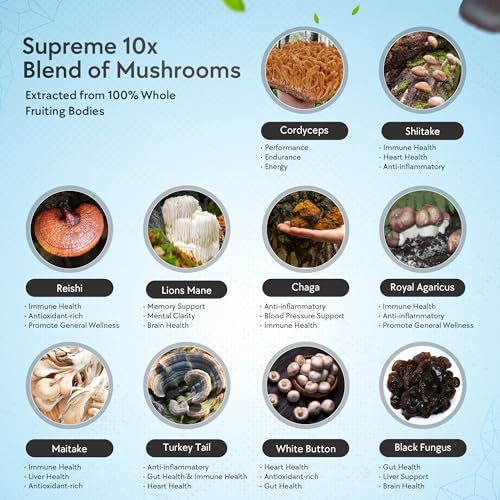 Reishi mushrooms for stress relief