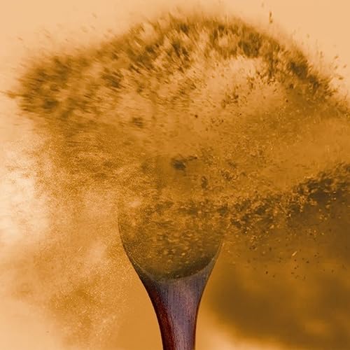 reishi mushrooms for stress relief