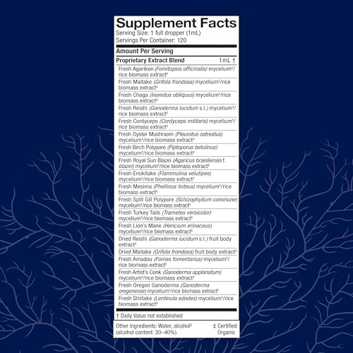 Reishi mushrooms for stress relief