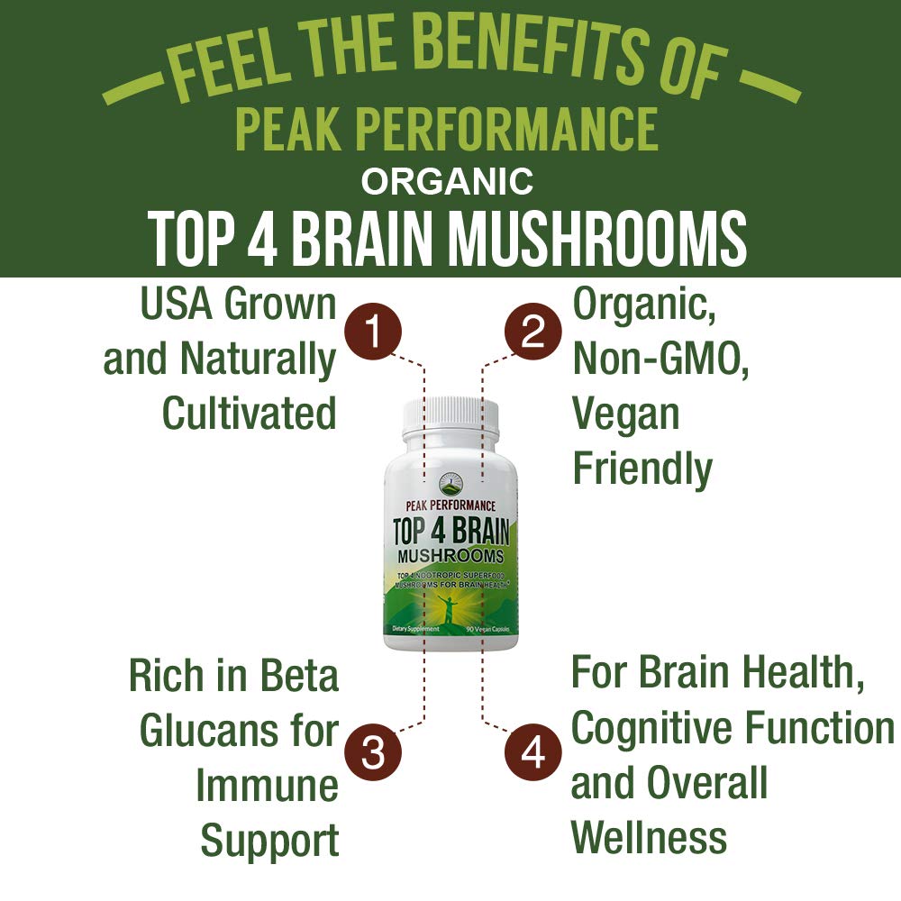 reishi mushrooms for stress relief