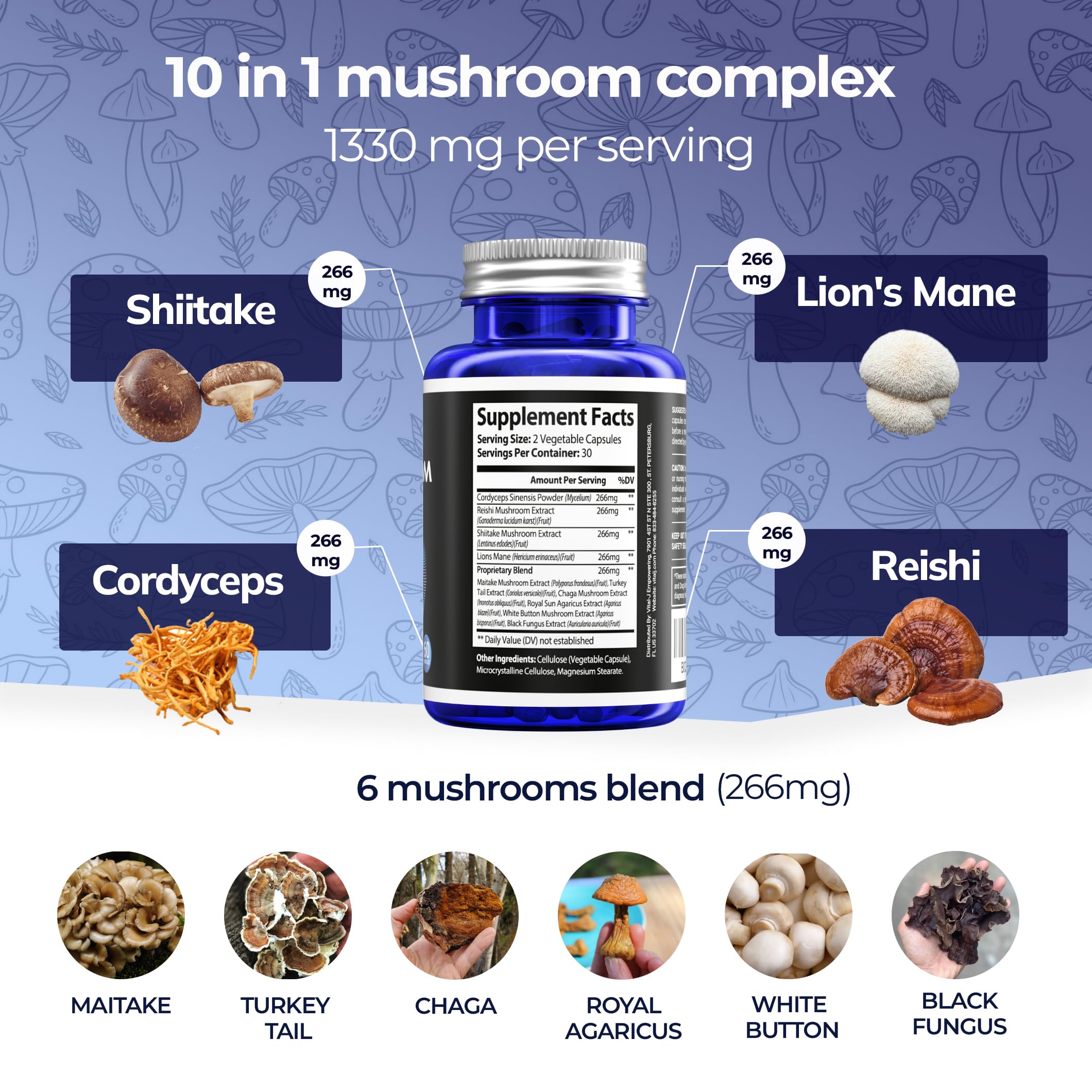Reishi mushrooms for stress relief