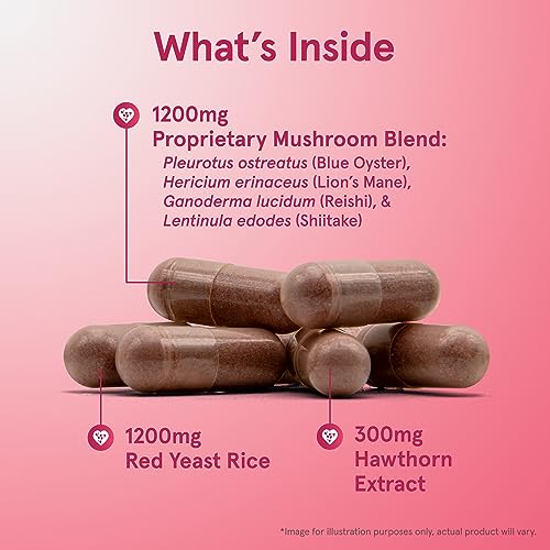 Reishi mushrooms for stress relief