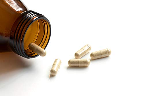 Reishi mushrooms for wellness benefits
