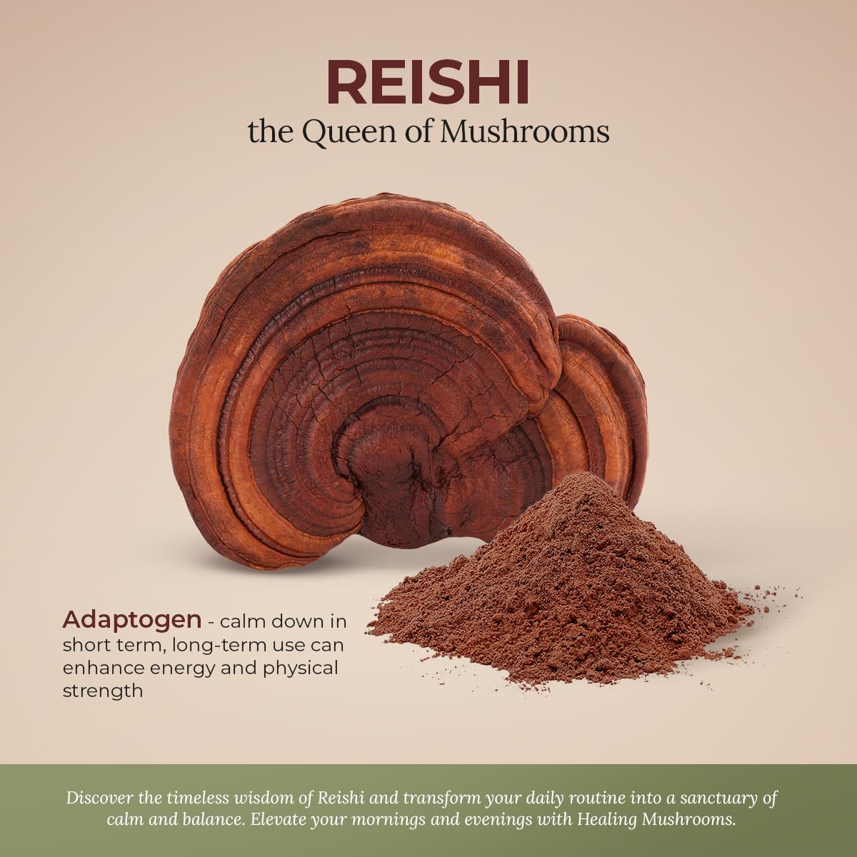 Reishi mushrooms powder for longevity benefits