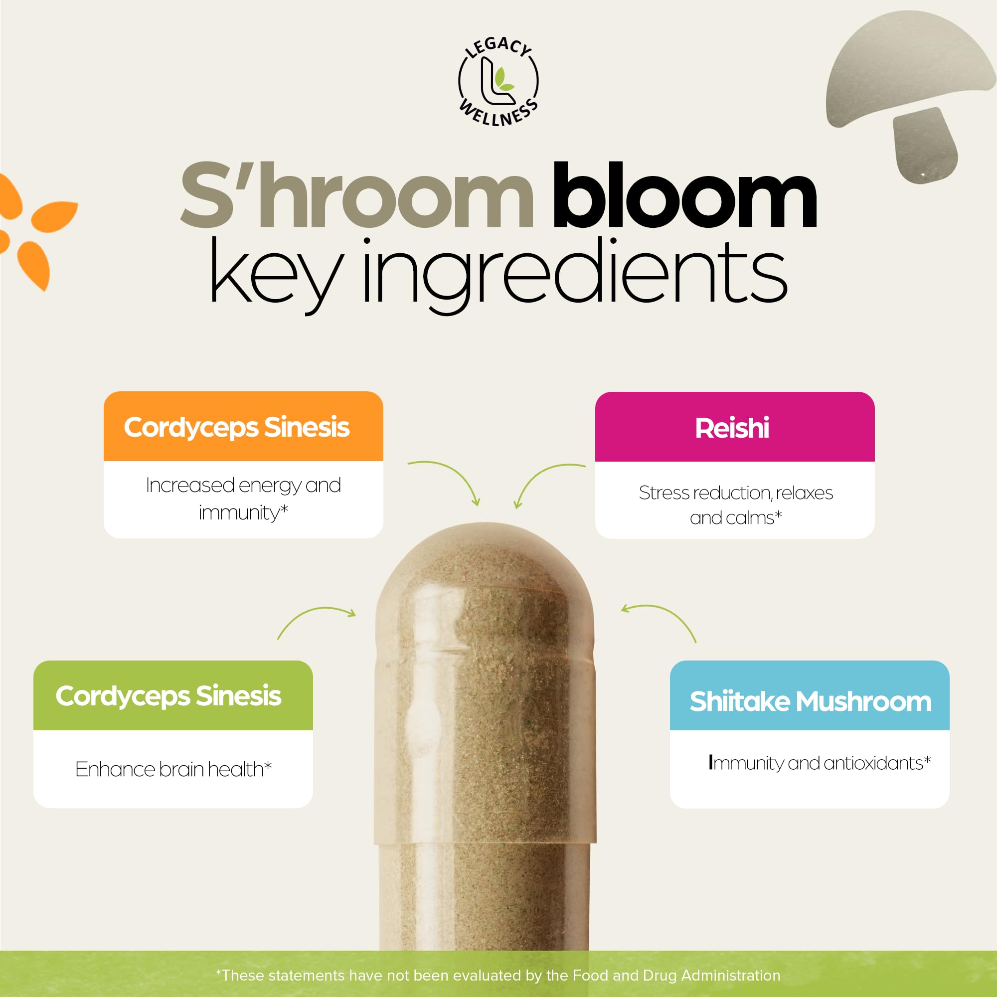 Reishi mushrooms promote relaxation