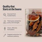 reishi powder for daily health routine