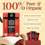 reishi powder for immune support