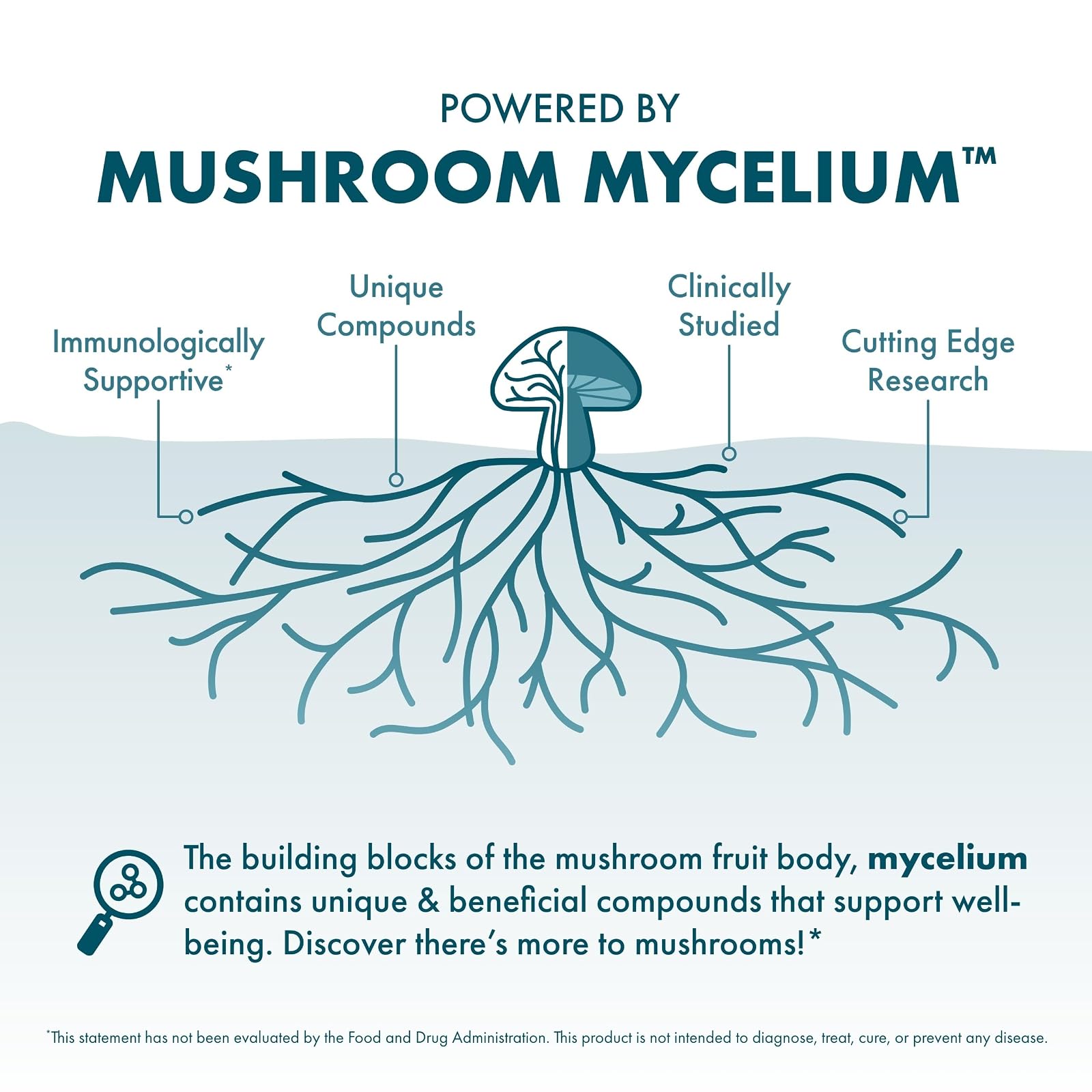 reishi powder for stress relief