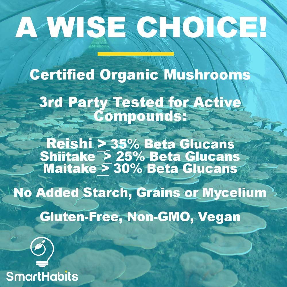 Reishi Shiitake Maitake mushroom benefits