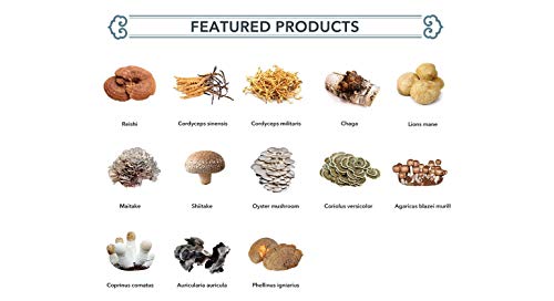 reishi spore oil for vitality