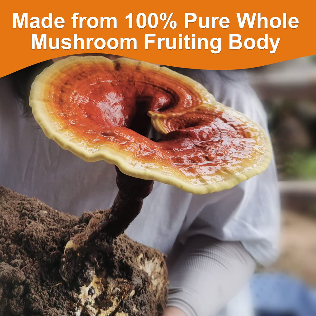 Reishi tea for stress relief