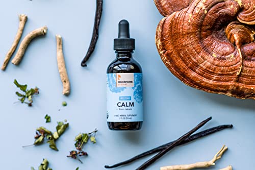reishi tincture for anxiety relief