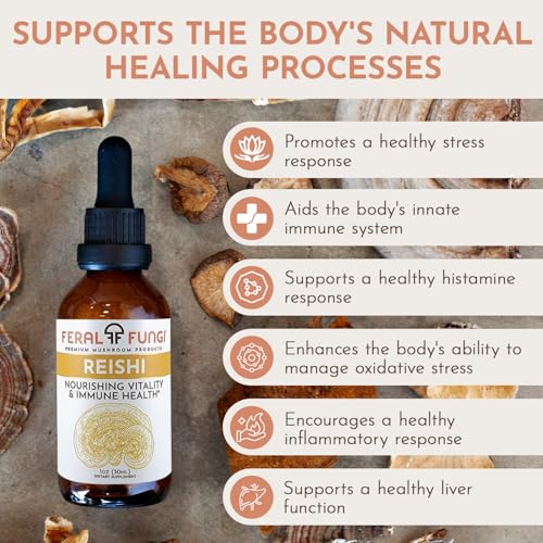 reishi tincture for better sleep