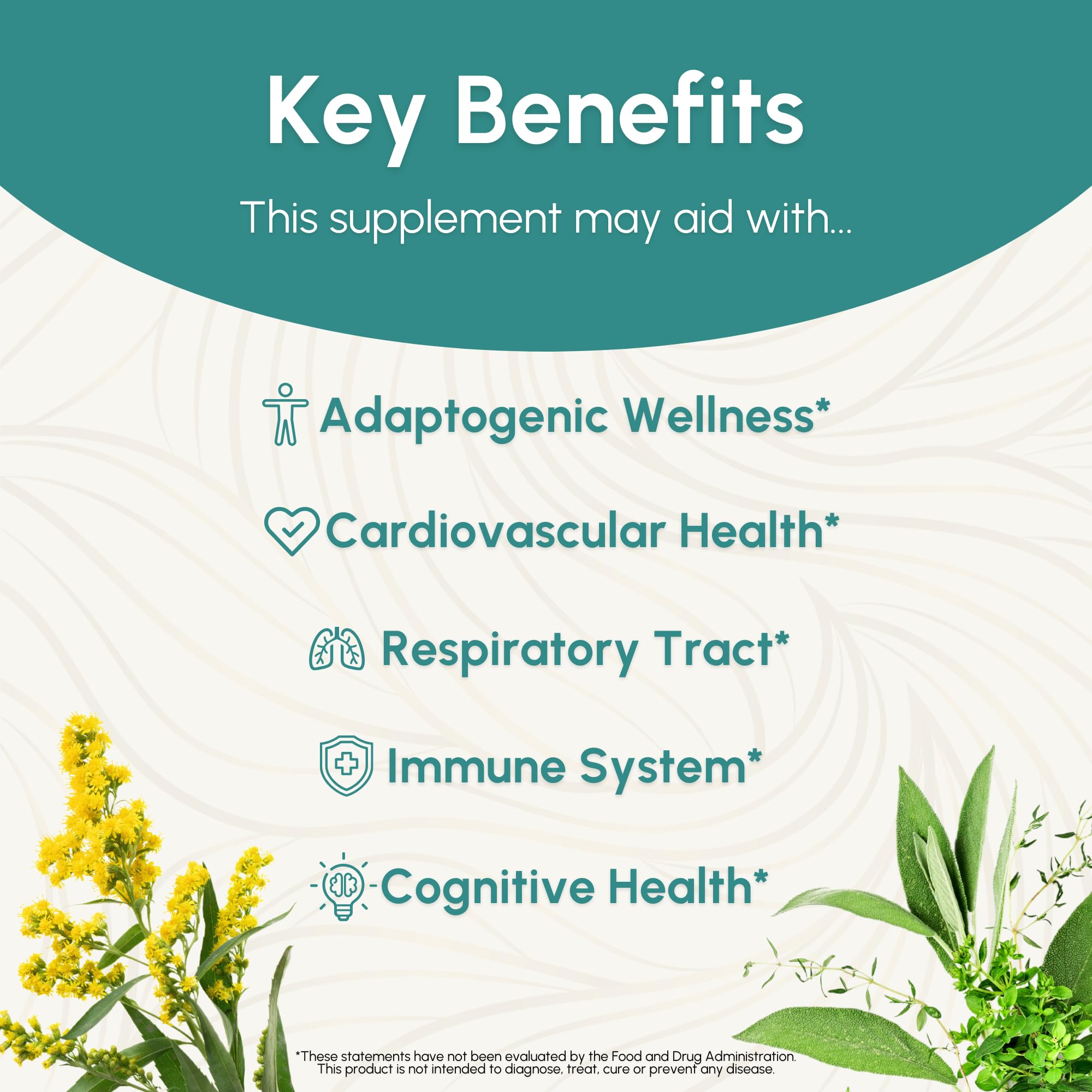 Reishi tincture for cardiovascular wellness
