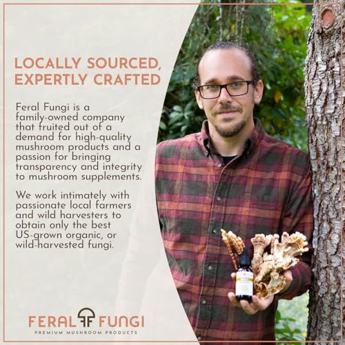 reishi tincture for overall wellness