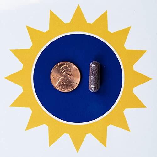 rejuvenation therapeutics vitamin capsules