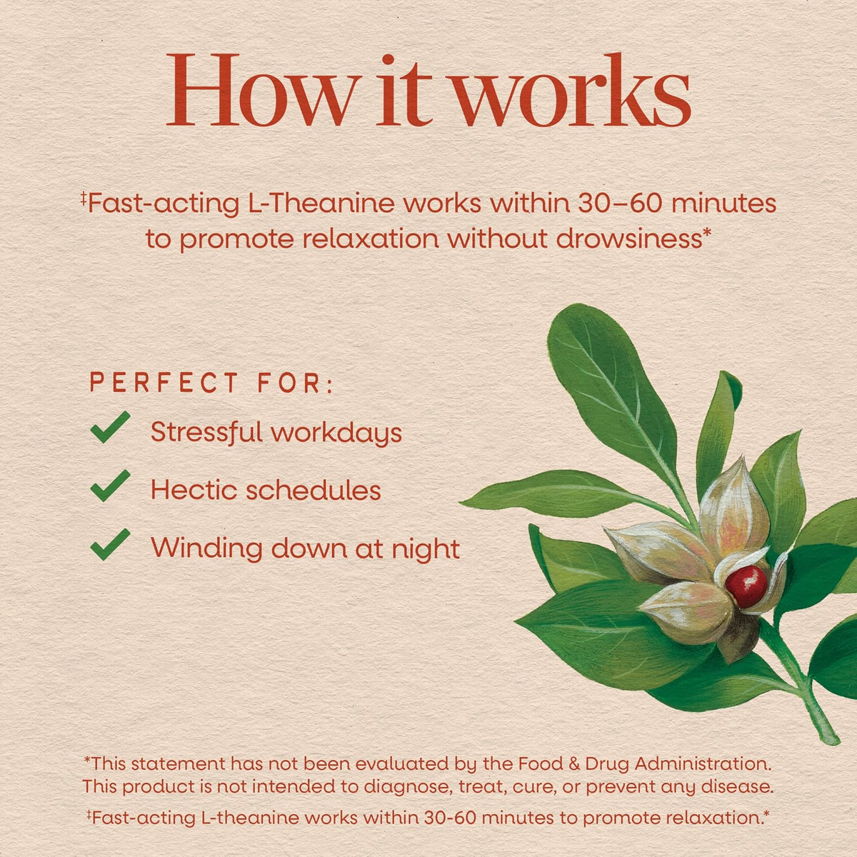 relaxation support with l-theanine