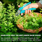 relaxing chamomile and lemon balm