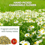 relaxing chamomile tea bags