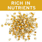 relaxing chamomile tea benefits