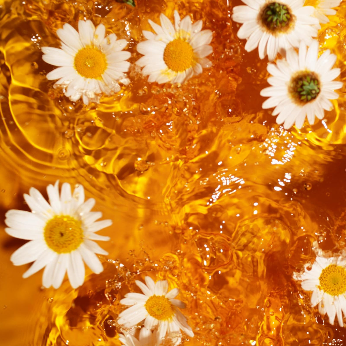 Relaxing chamomile tea for bedtime