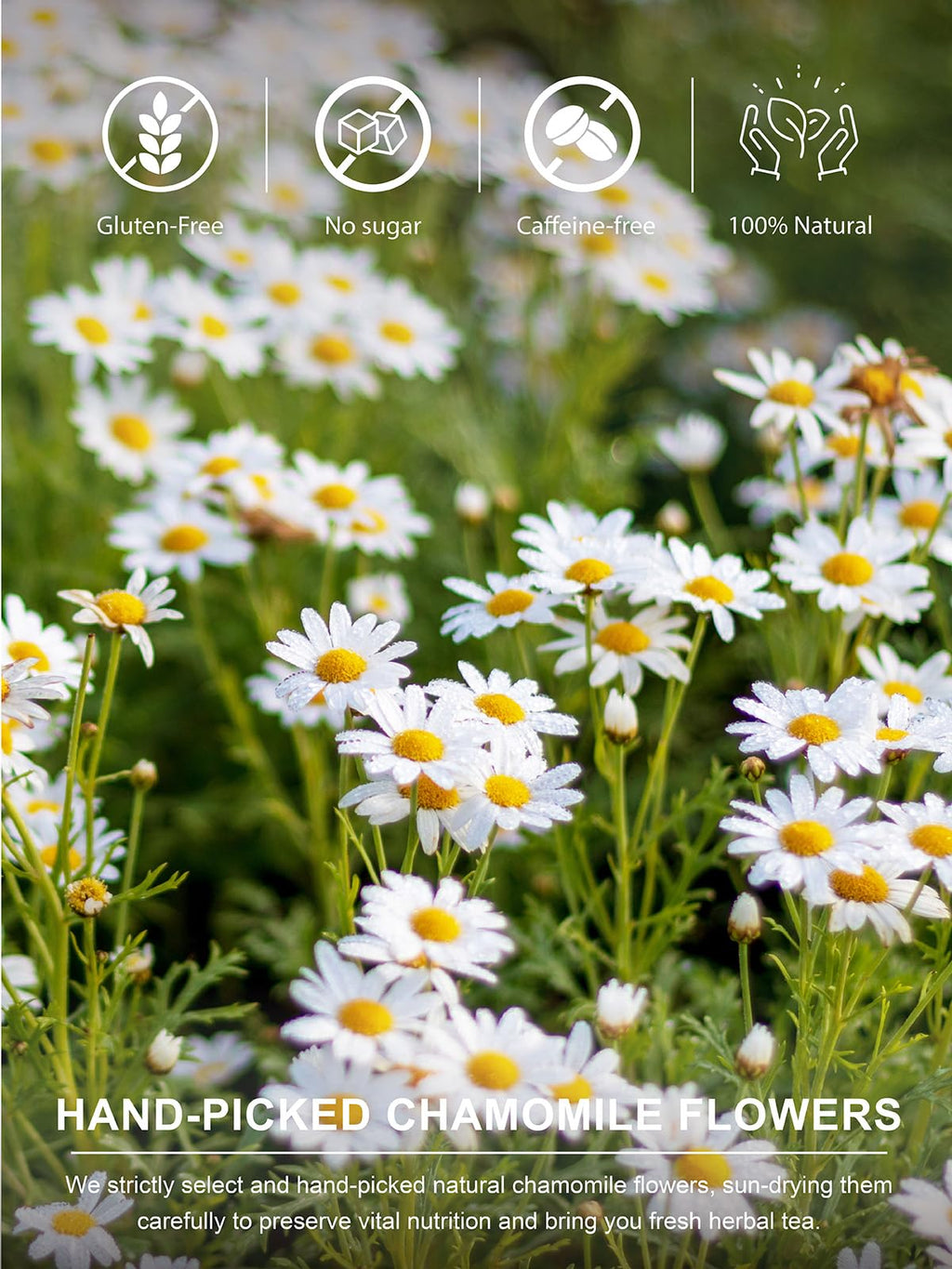 relaxing chamomile tea for sleep