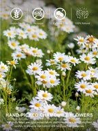relaxing chamomile tea for sleep