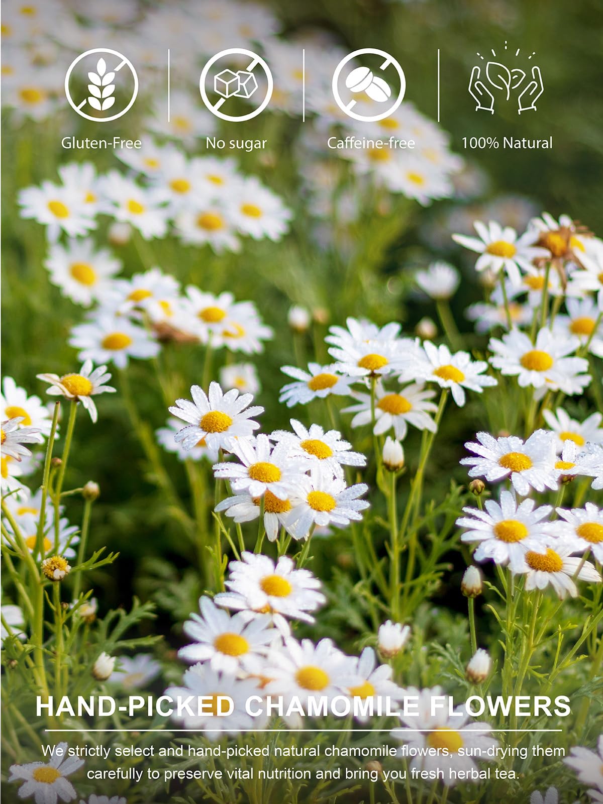 relaxing chamomile tea for sleep