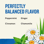 relaxing dandelion tea infusion