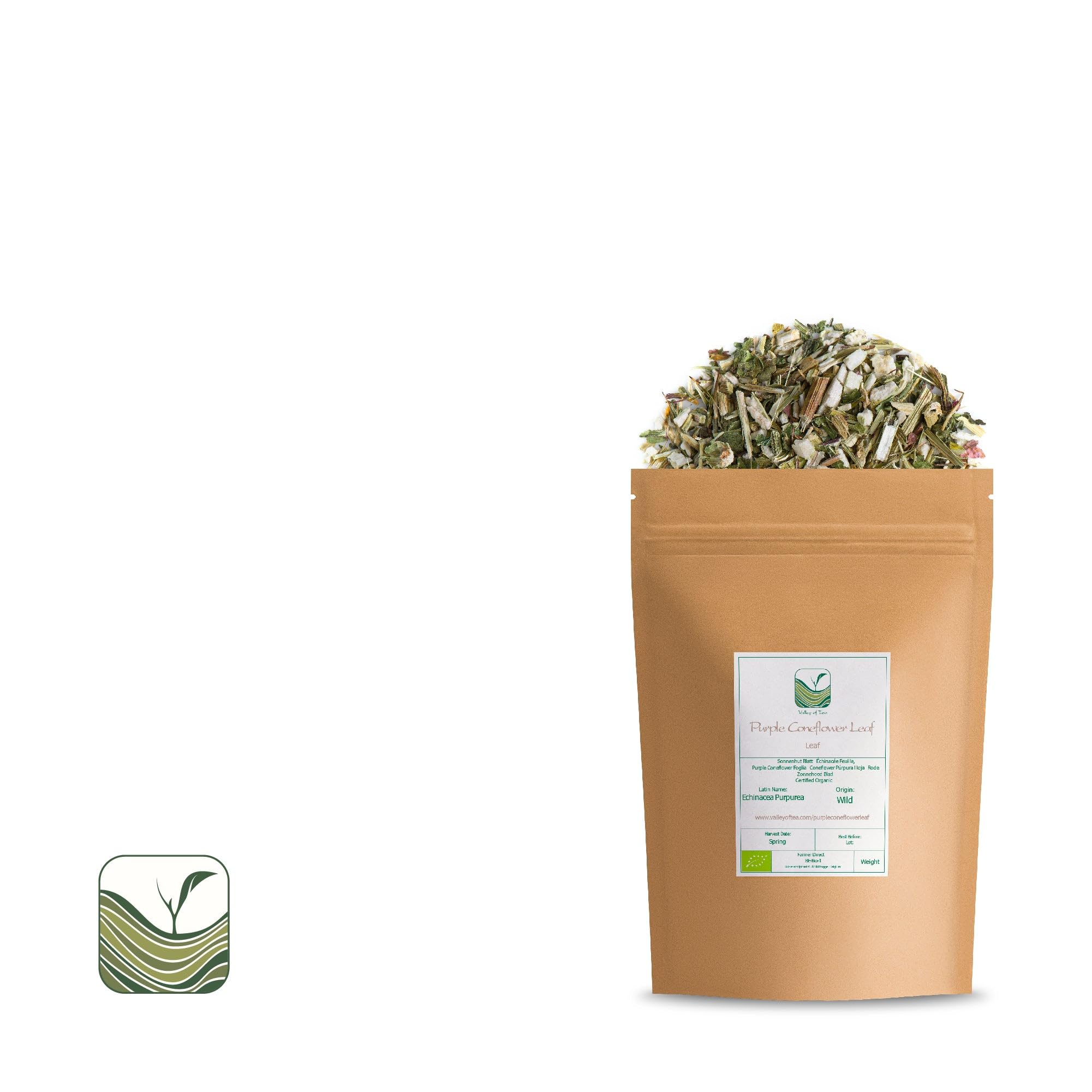 relaxing echinacea tea experience