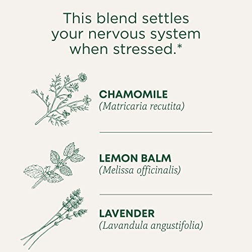 relaxing herbal tea blend
