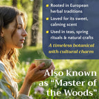 relaxing herbal tea experience