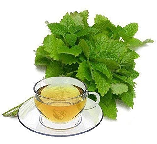 relaxing herbal tea for stress relief