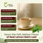 relaxing lemon balm leaf infusion