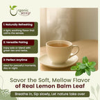relaxing lemon balm leaf infusion