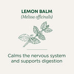 Relaxing lemon balm tea blend