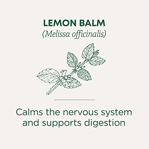 Relaxing lemon balm tea blend
