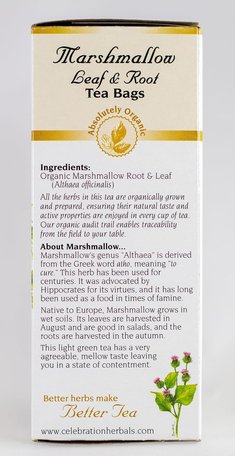 relaxing marshmallow root tea experience