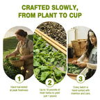 Relaxing slippery elm herbal infusion