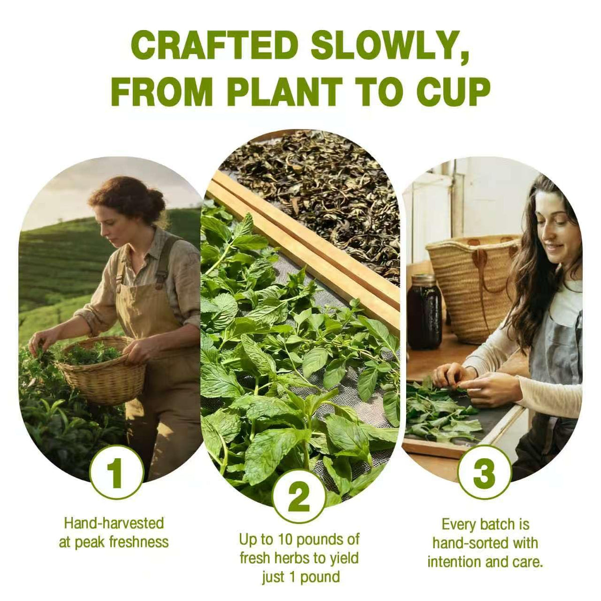 Relaxing slippery elm herbal infusion