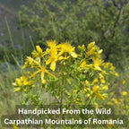 relaxing St Johns Wort tea