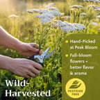 Relaxing yarrow flower tea blend