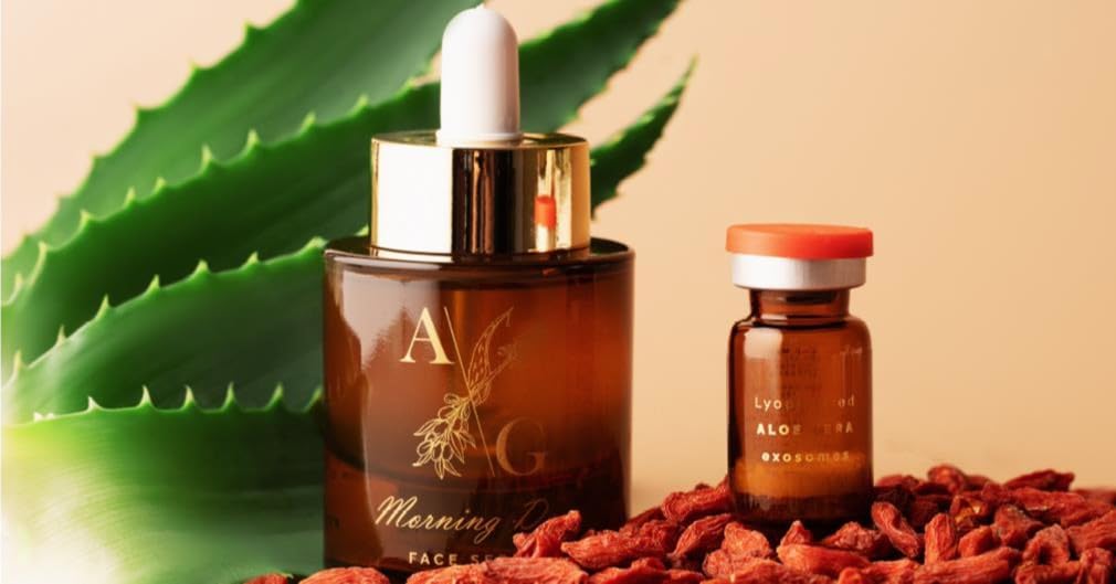 relief for burns with aloe vera