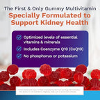 Renadyl kids multivitamin gummy supplement