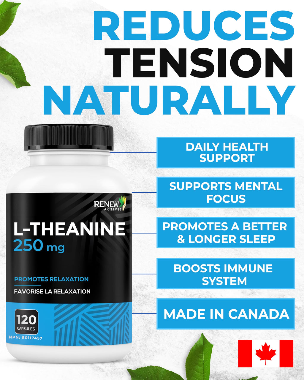 Renew Actives for improved concentration