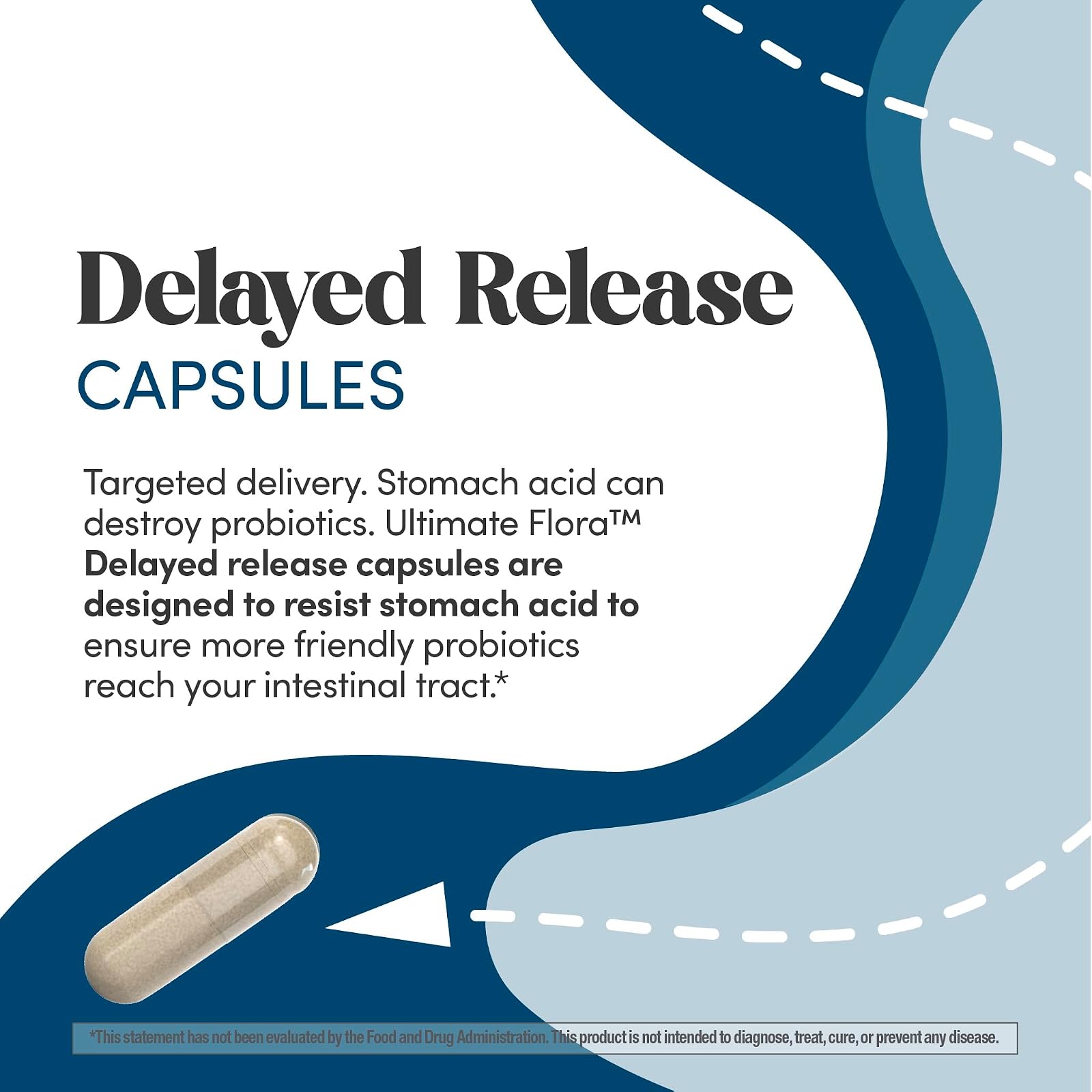 Renew Life probiotic for gut balance
