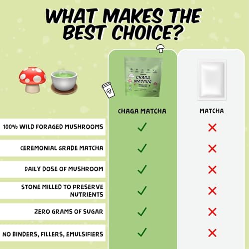 Renude Chagaccino energy-boosting drink