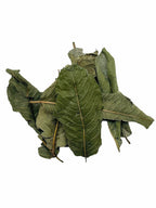 resealable bag of guava tea leaves