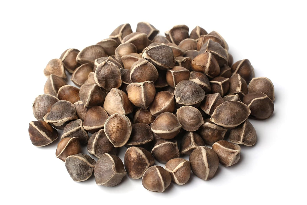 Resealable bag of Moringa seeds